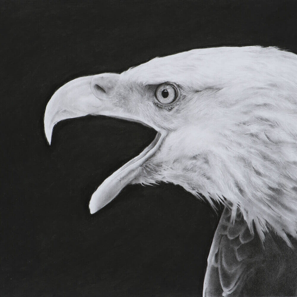 Eagle - Alex Fleming Art