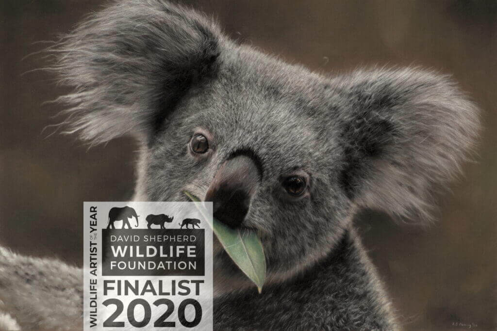 Koala - Alex Fleming Art