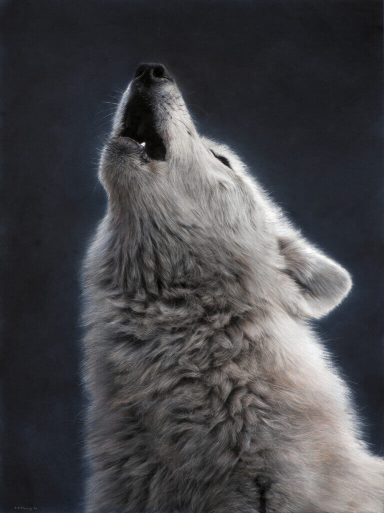 White Wolf - Alex Fleming Art