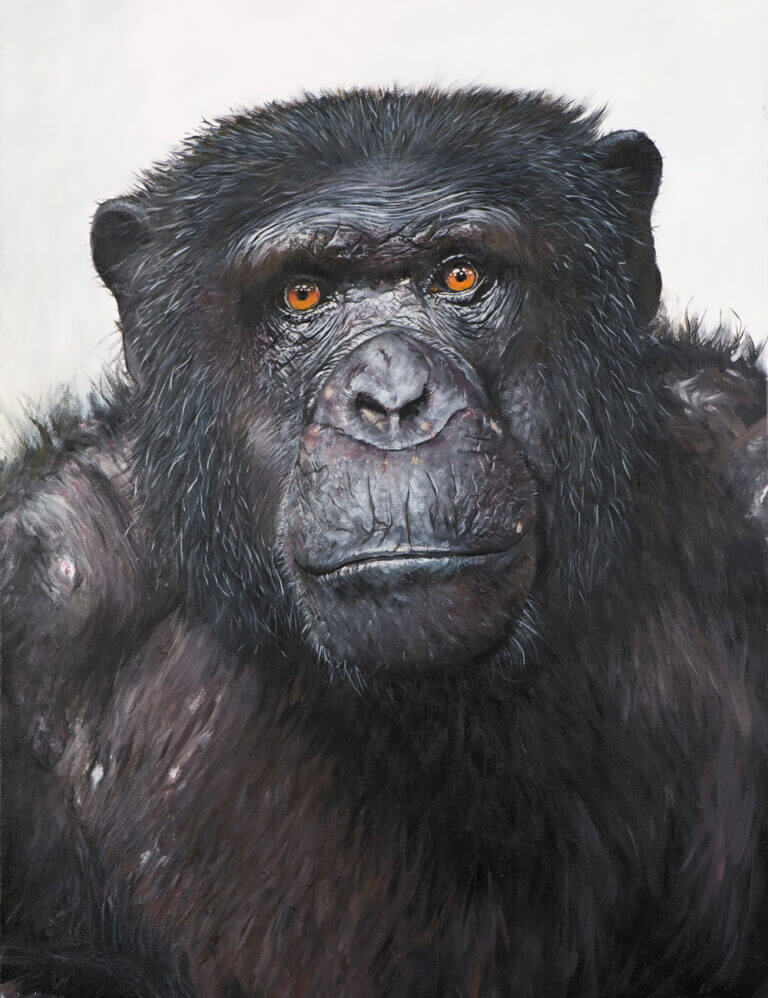 Portfolio - Alex Fleming Art