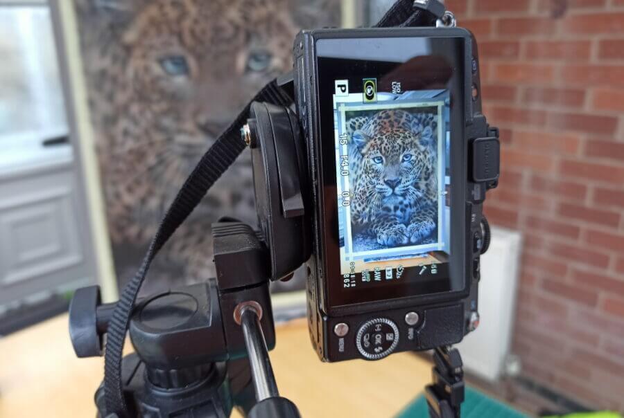 The Printing Process - Alex Fleming Art