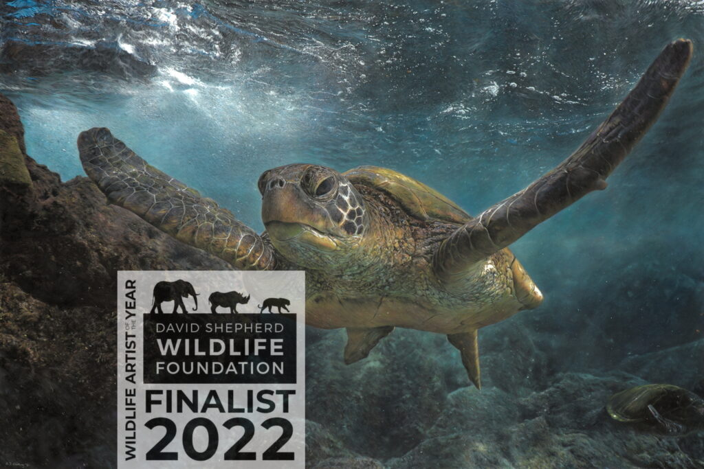 Green Sea Turtle - Alex Fleming Art