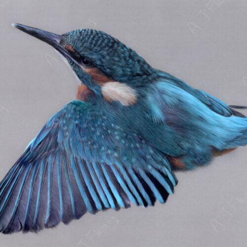 Alex Fleming Art Home Page - Alex Fleming Art