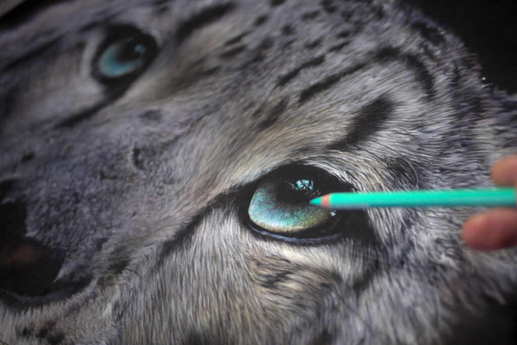 About - Alex Fleming Art