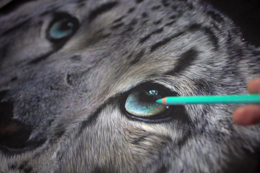 About - Alex Fleming Art