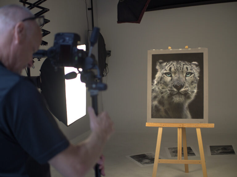 Snow Leopard II - Alex Fleming Art