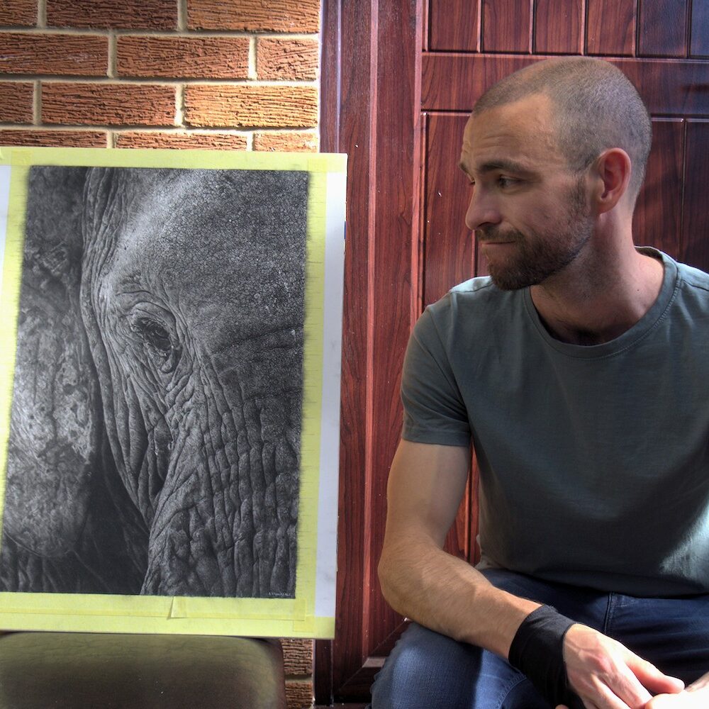 African Elephant - Alex Fleming Art