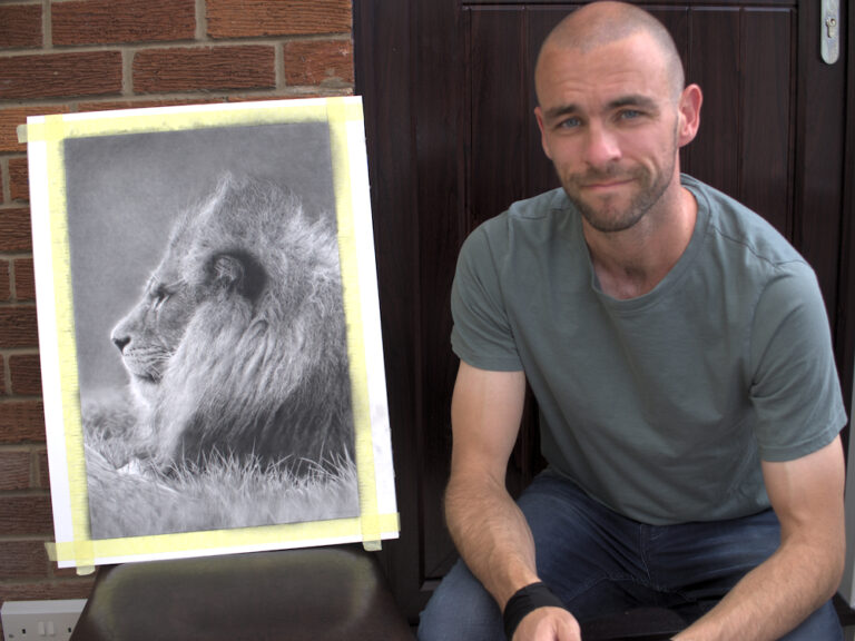 African Lion - Alex Fleming Art