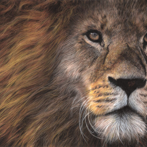 Alex Fleming Art Home Page - Alex Fleming Art