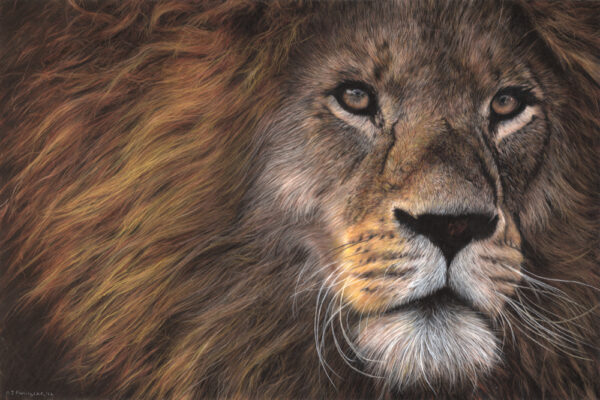 Watching On - Alex Fleming Art