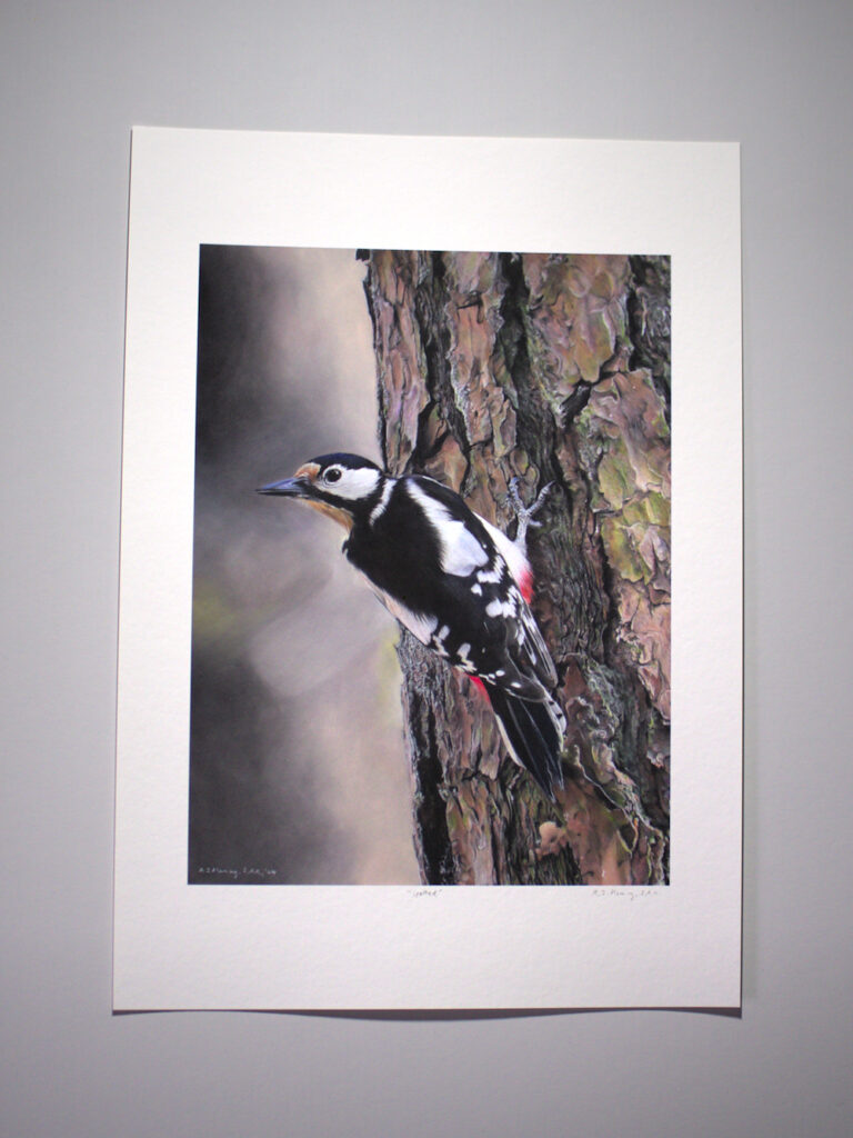 Spotted - Alex Fleming Art