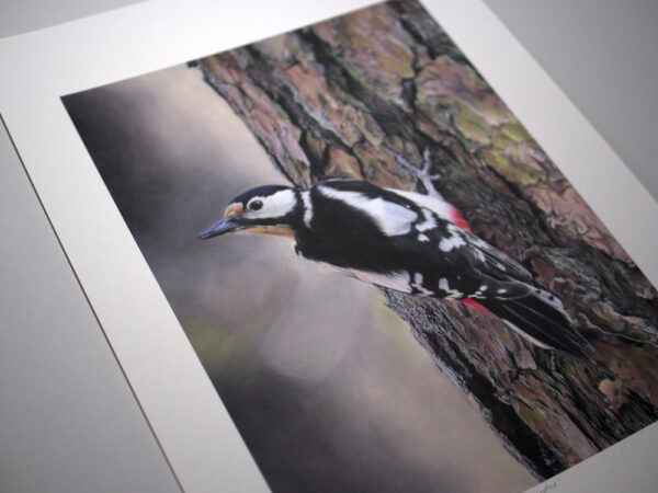 Spotted - Alex Fleming Art